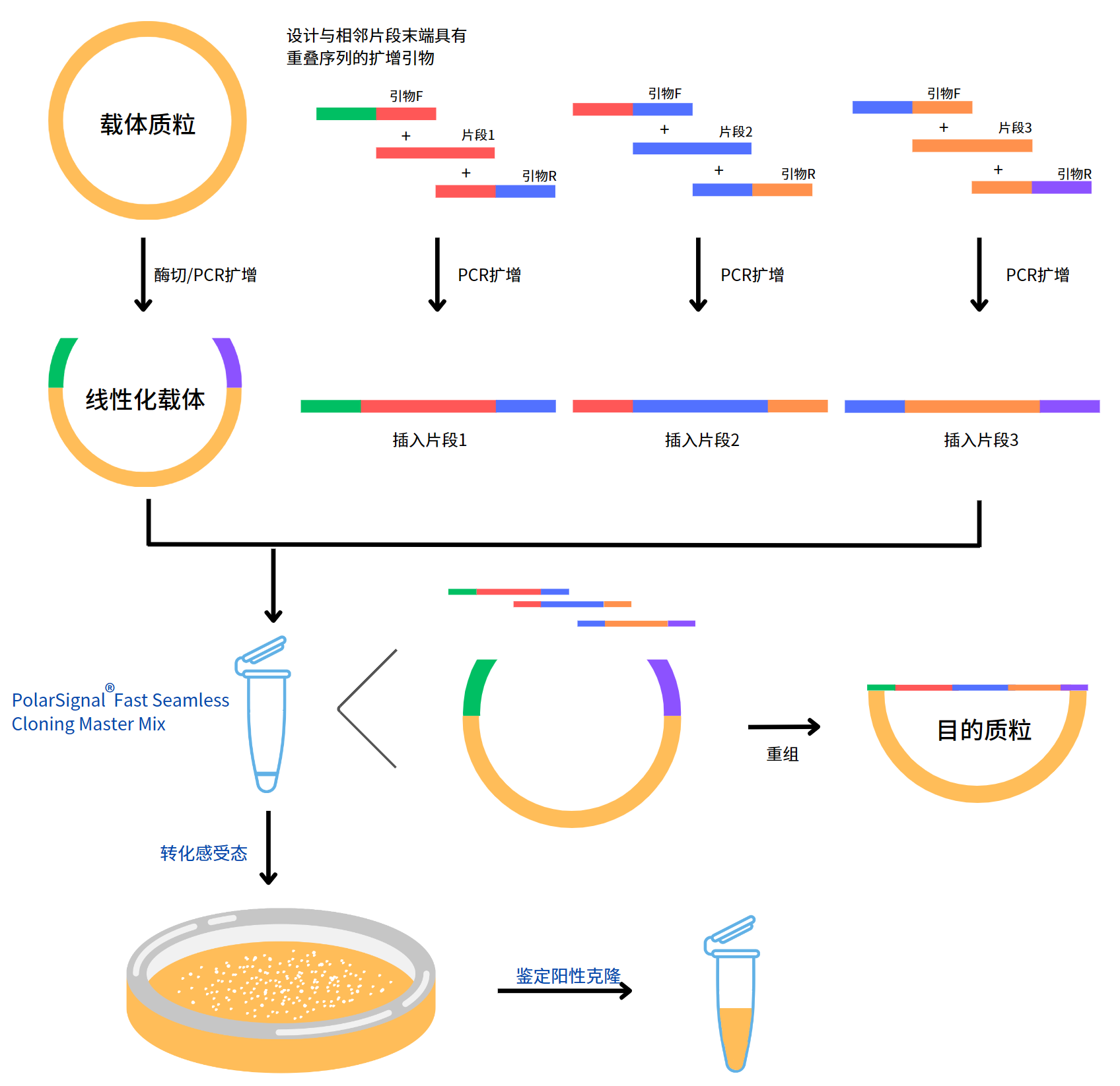PolarSignal ® Fast Seamless Cloning Kit (无缝克隆试剂盒) - MIKX
