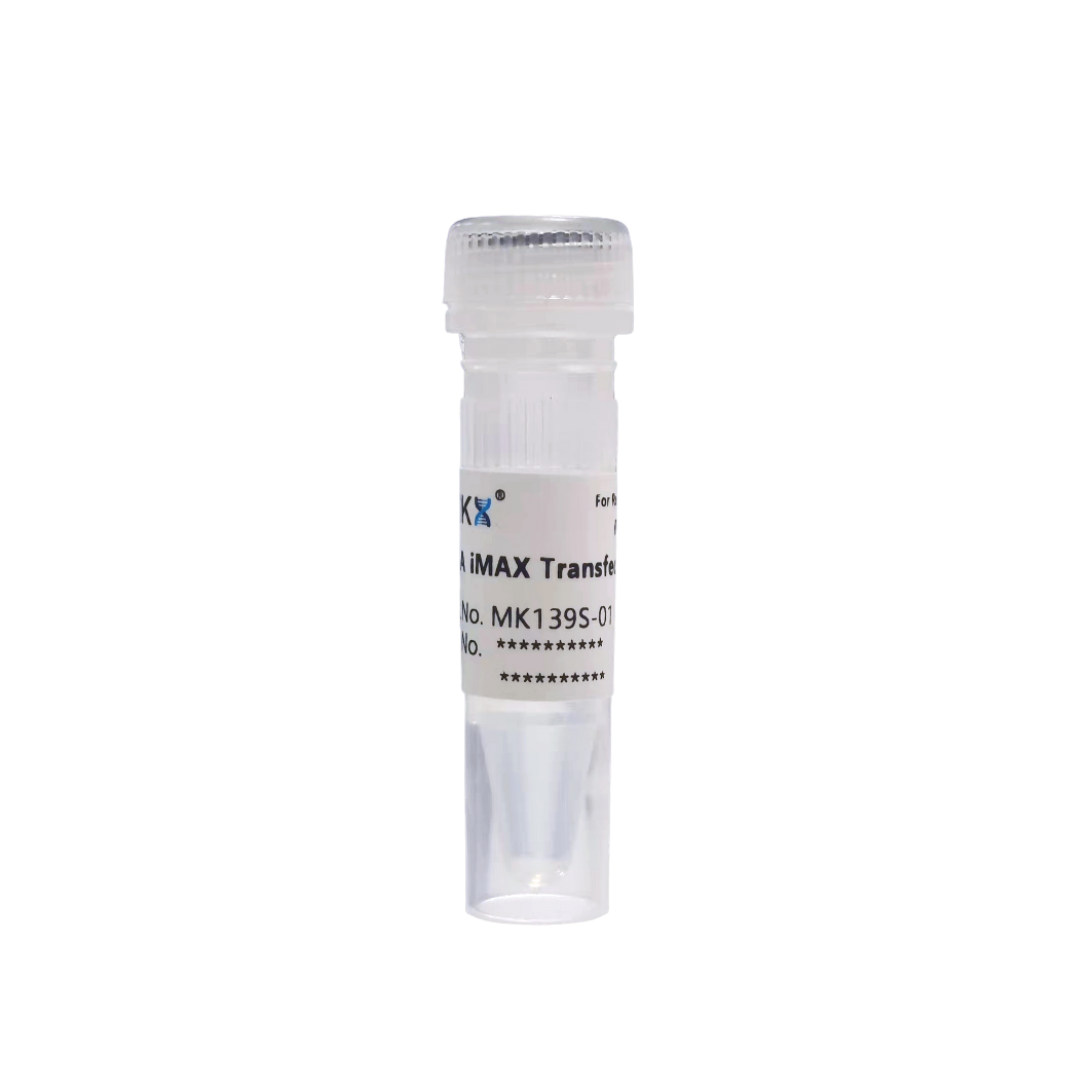 RNAiMAX Transfection Reagent - MIKX