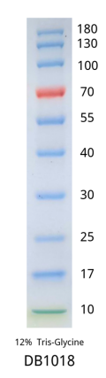 预染蛋白Marker(10-180kD) - MIKX