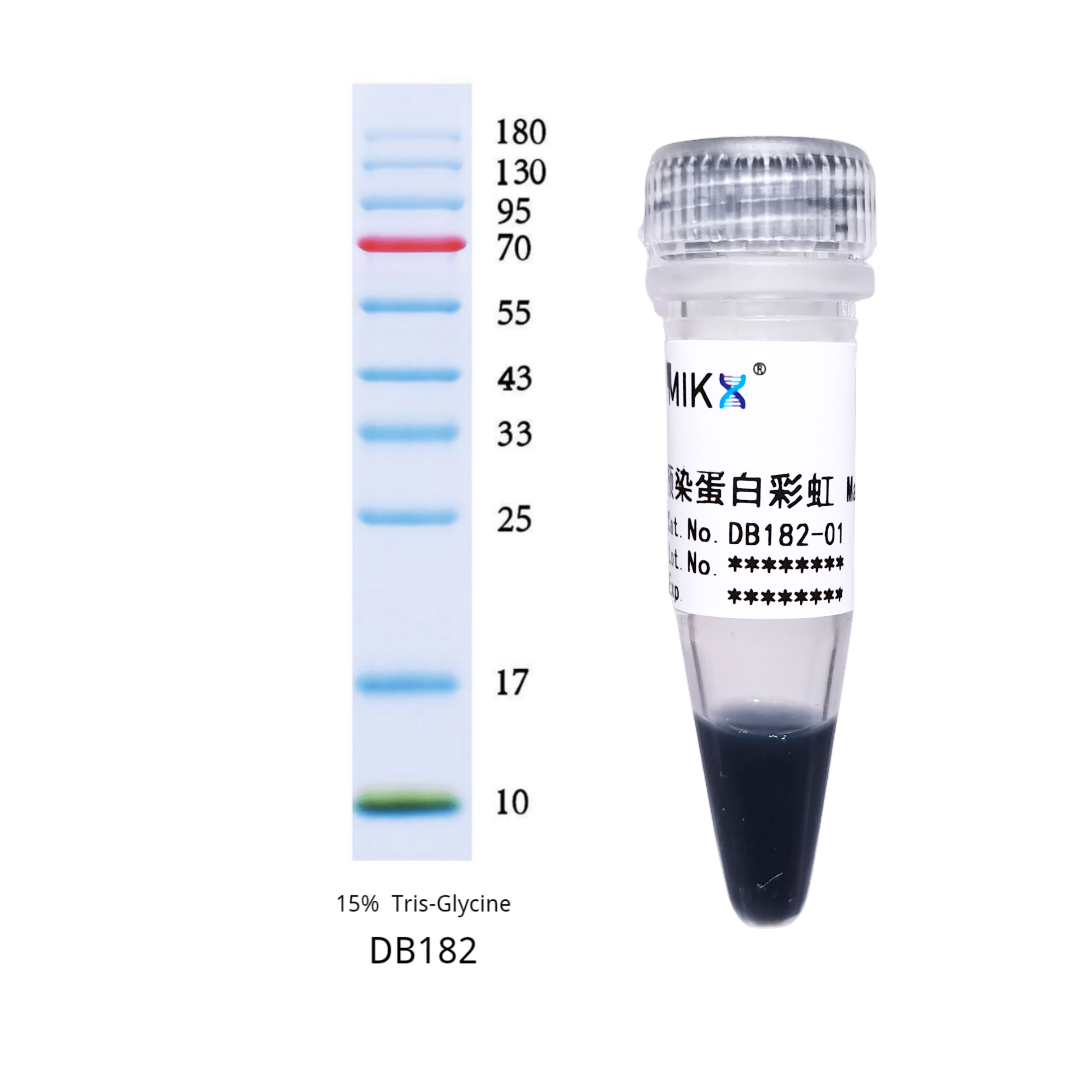 预染蛋白 Marker (10-180kD) - MIKX